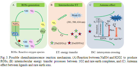 张信凤：Rare earth complexes chemiluminescence catalyzed by gold ...